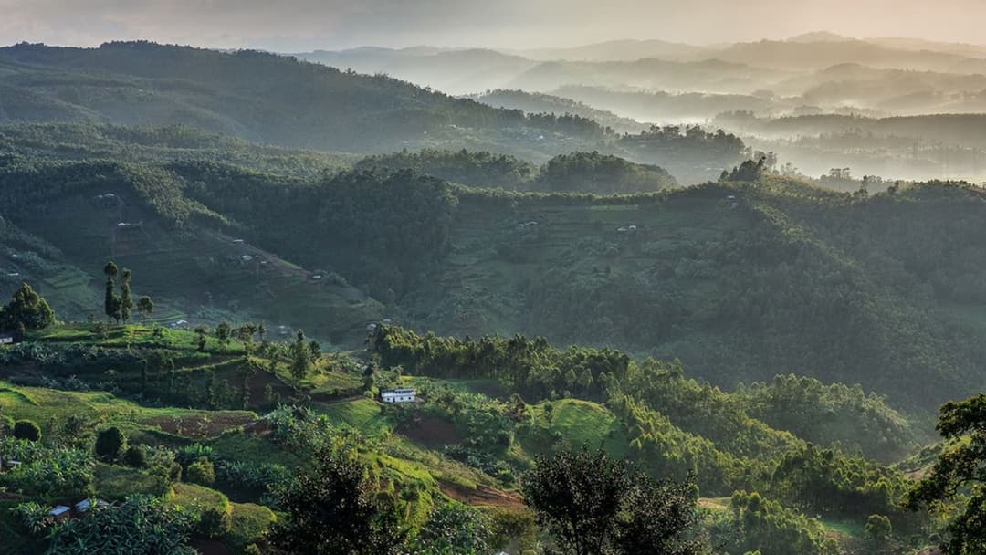 Check Rwanda UPI - Land Parcel Information
