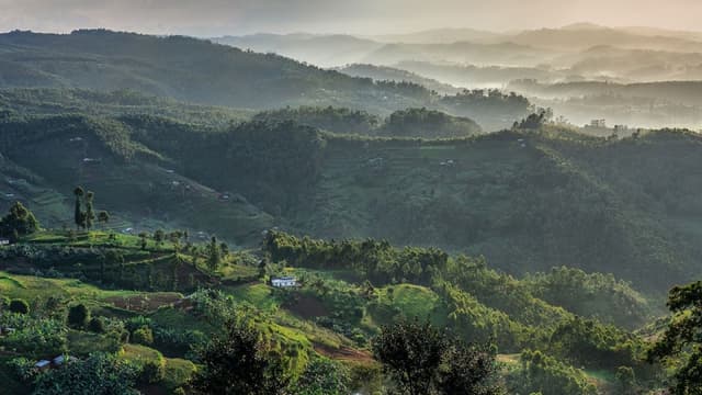 Check Rwanda UPI - Land Parcel Information